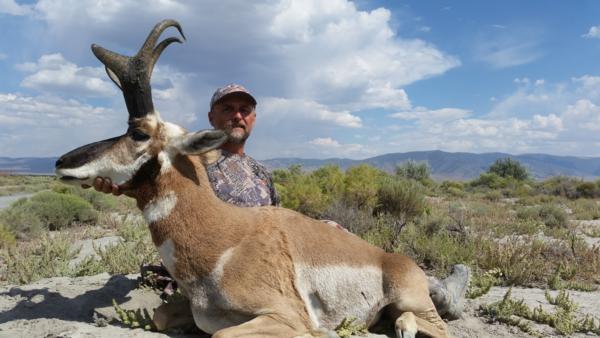Nevada Antelope Hunts CA | Pronghorn Antelope Hunting Guide California